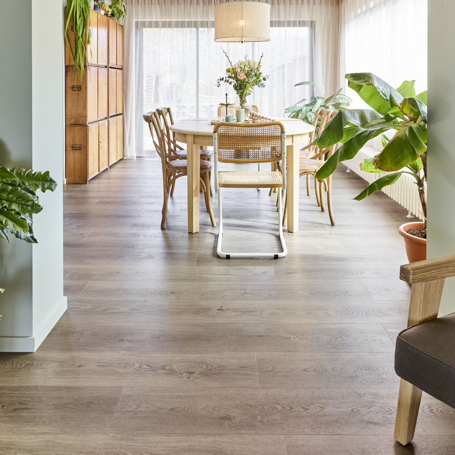 Cohiba - Dryback | Floorify