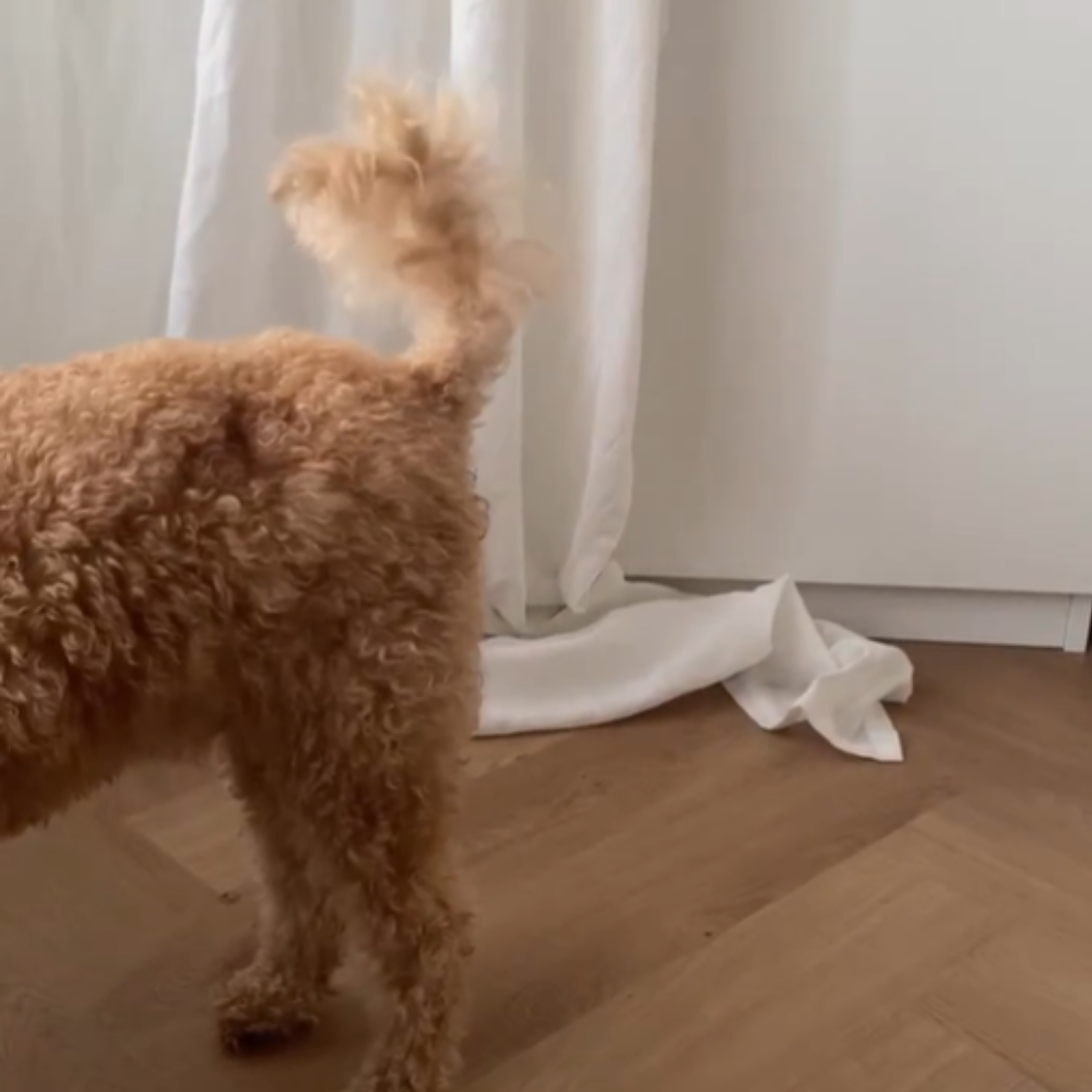 Julie Van den Steen is Floorified | Floorify