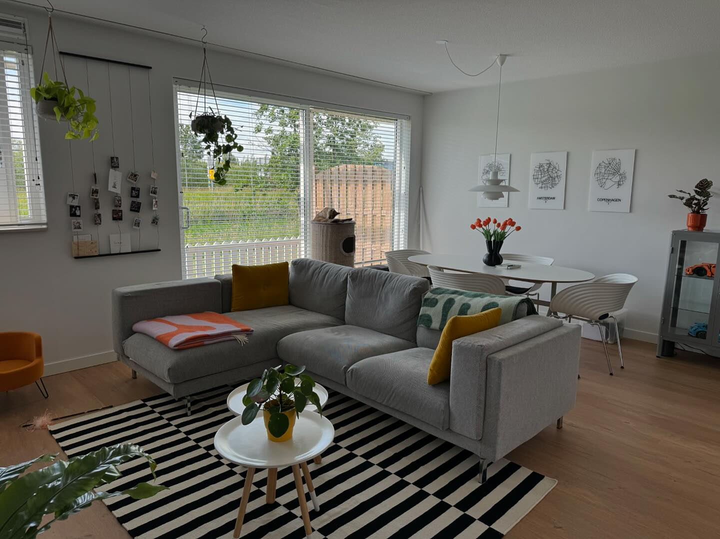 Frangipane | Floorify